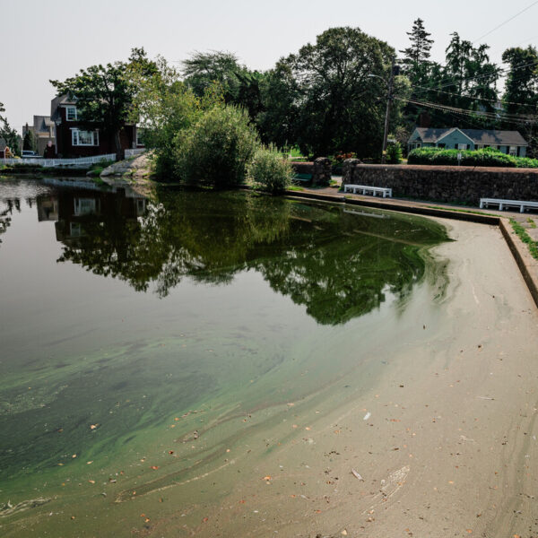 Home - Marblehead Weekly News